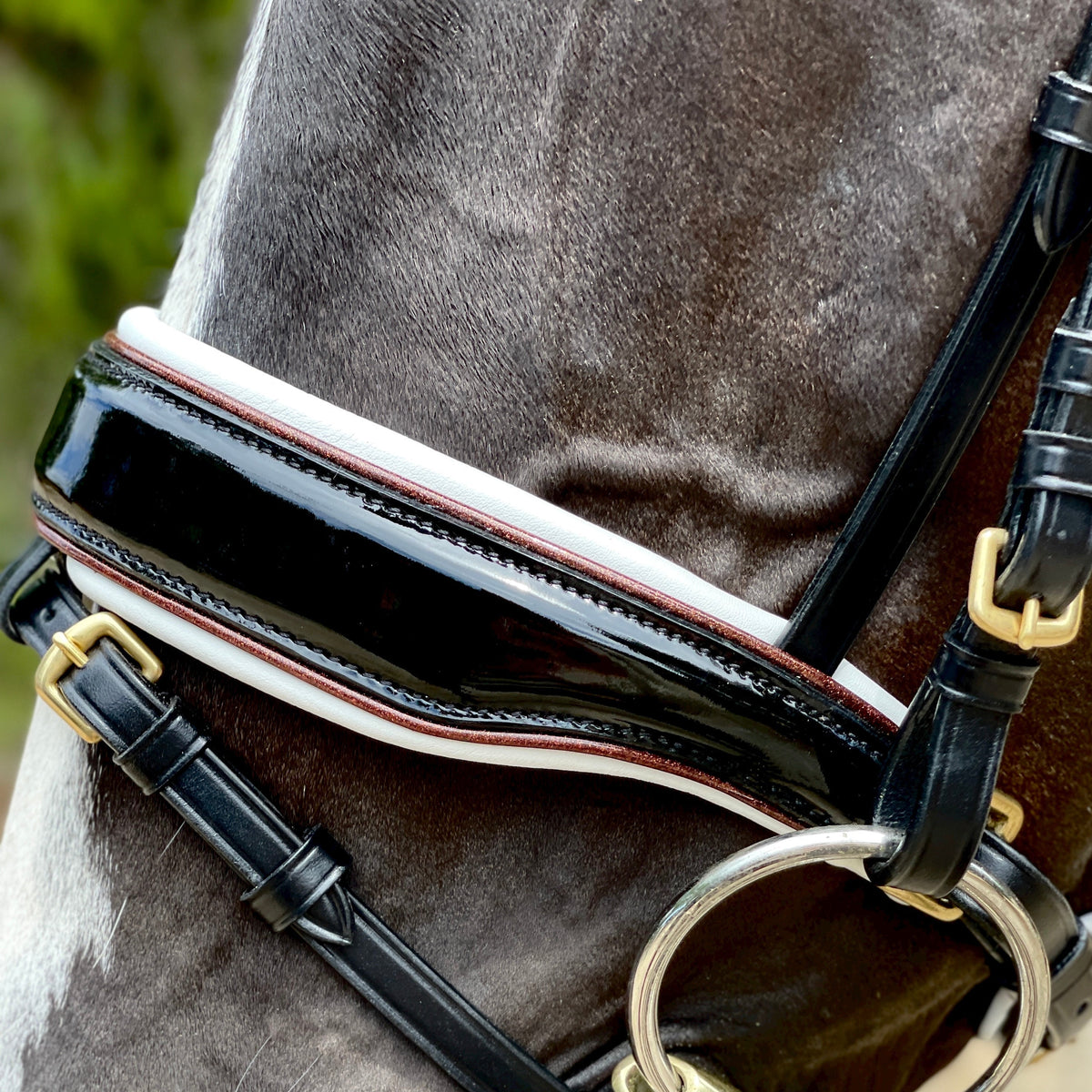 Taos Black Patent Snaffle Bridle – Salado Creek Tack Shop